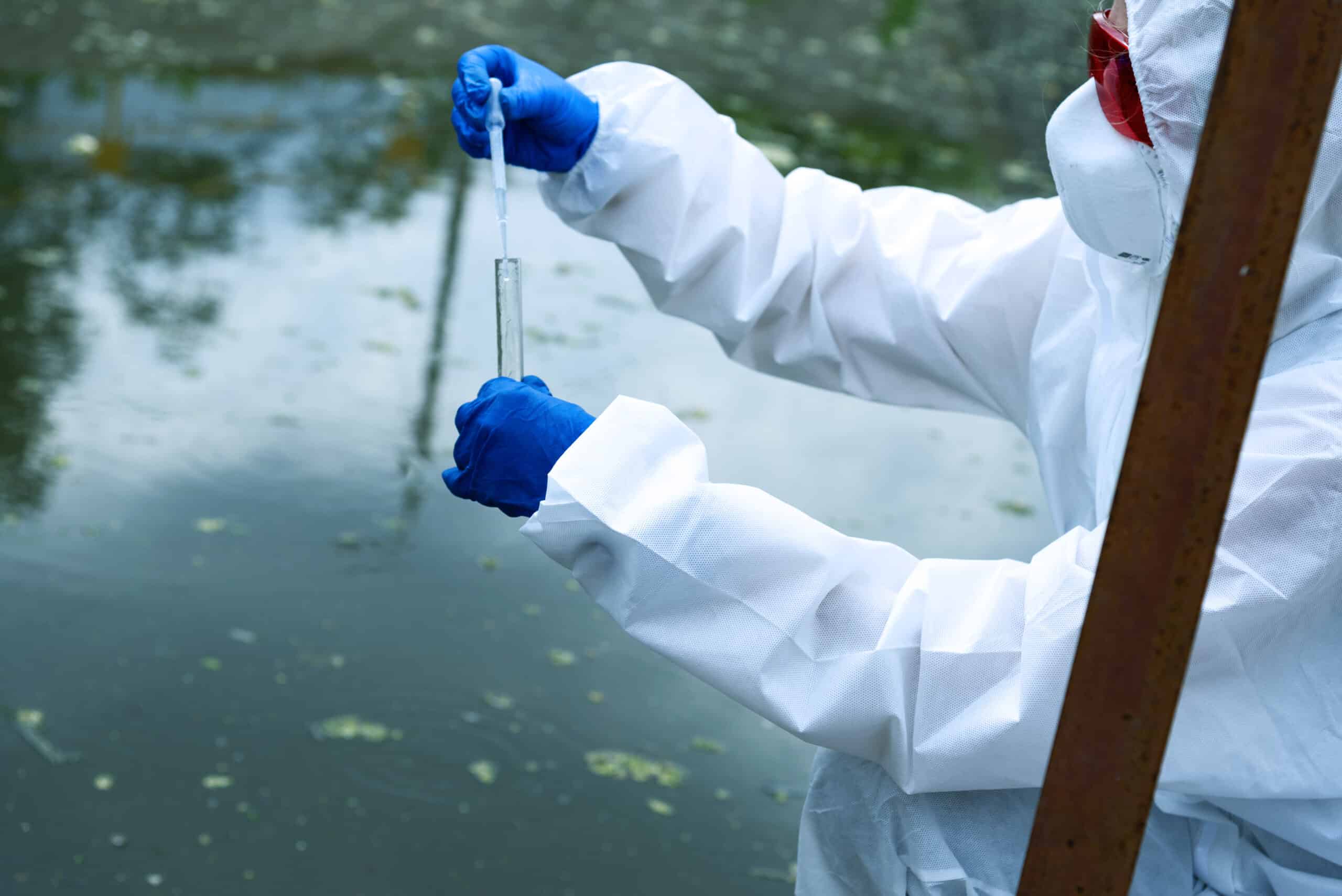 Toxic Runoff from Toilets and Lawns is Plaguing US Lakes and Rivers ...