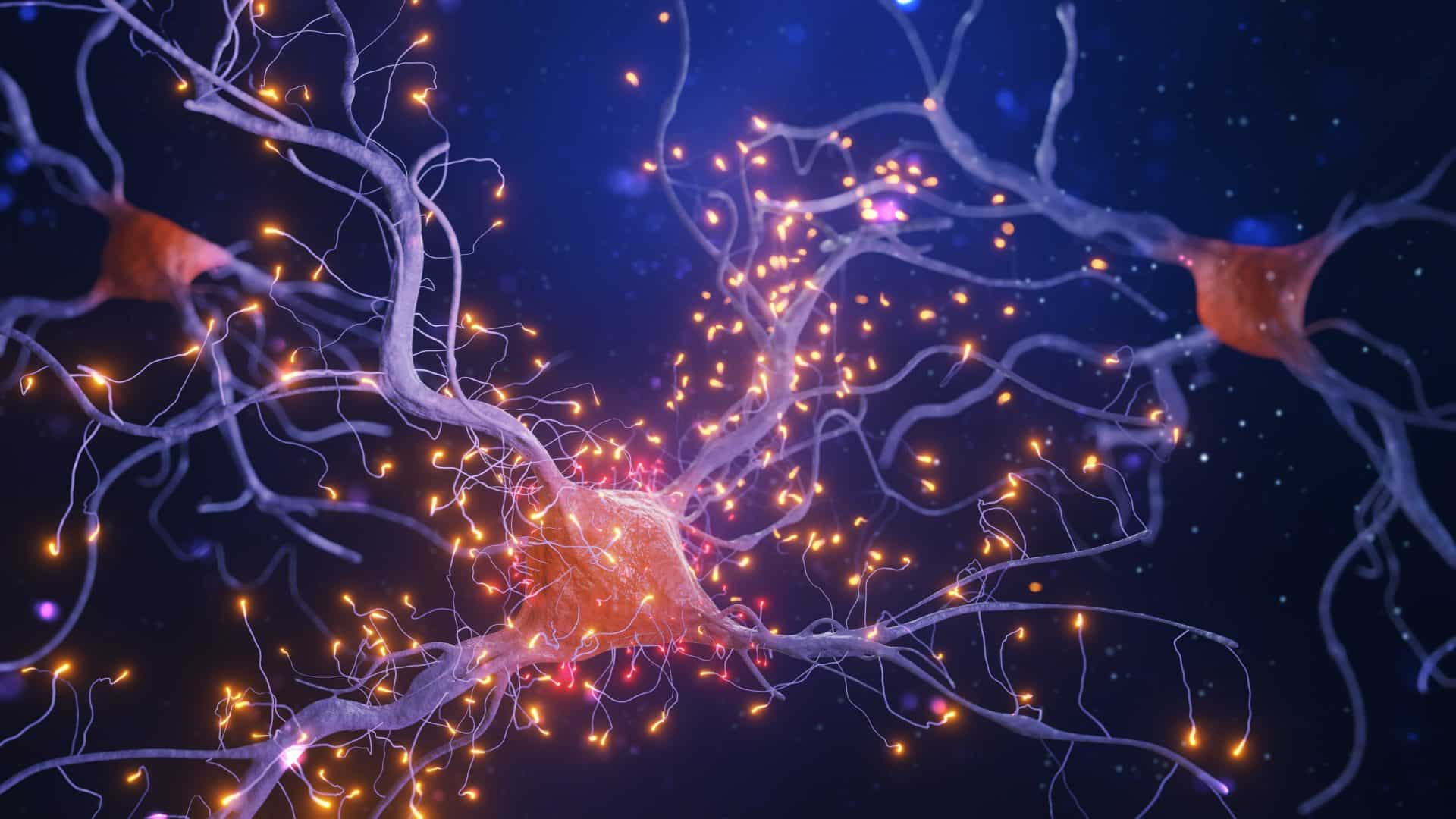 Stem Cell-Derived Retinal Neurons Might Be Able to Form Synapses on ...