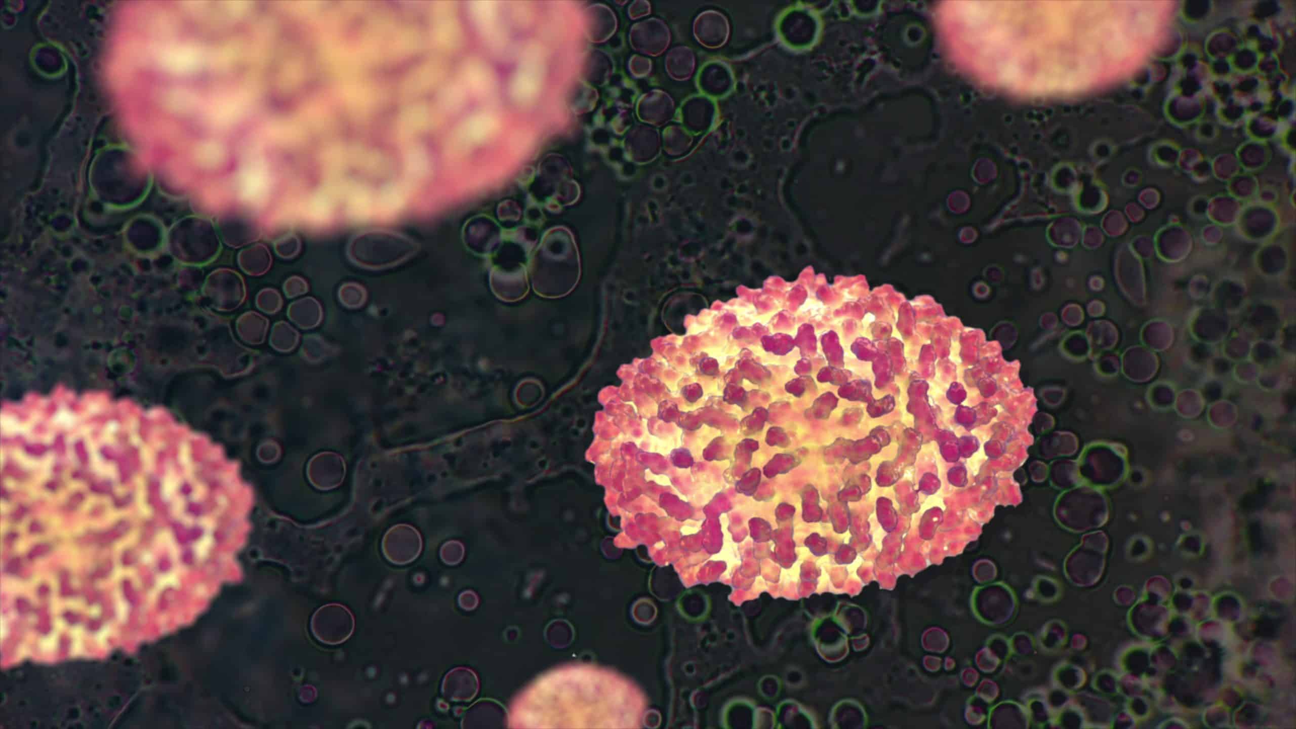 Breakthrough study reveals how EBV causes genomic instability and ...