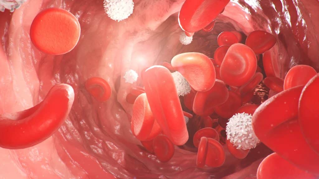 New FDA-Approved Therapy Omisirge Brings Hope to Blood Cancer Patients ...