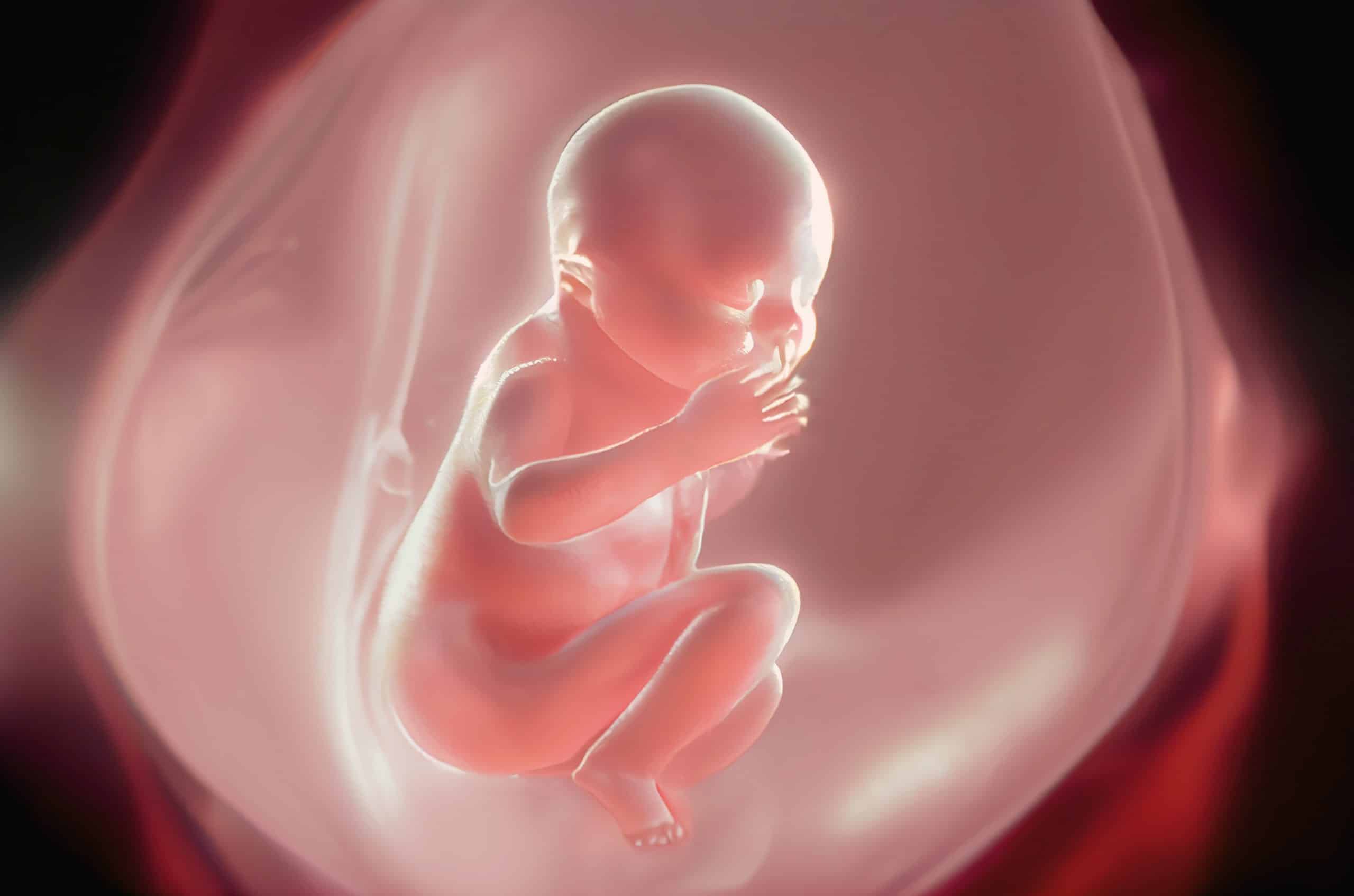 Fetal Growth Restriction Linked to Poor Mid-Childhood Educational ...