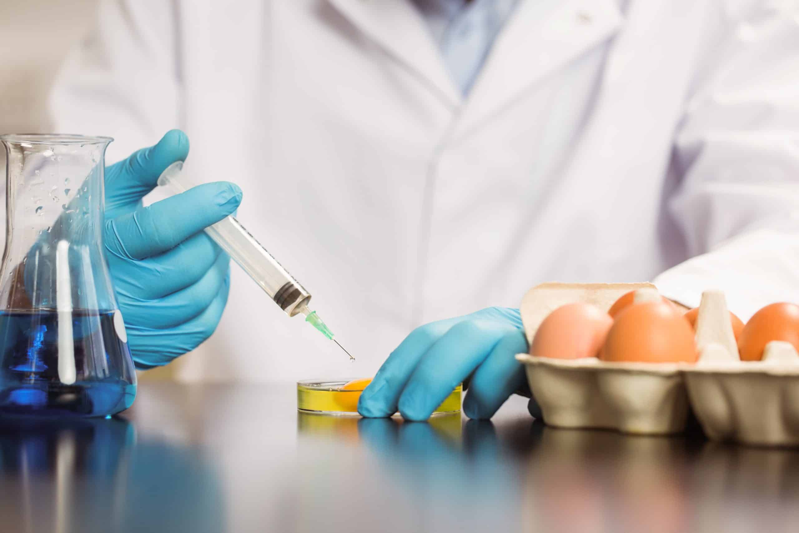 Genetically Modified Eggs Hold Promise Of Allergy-Free Future