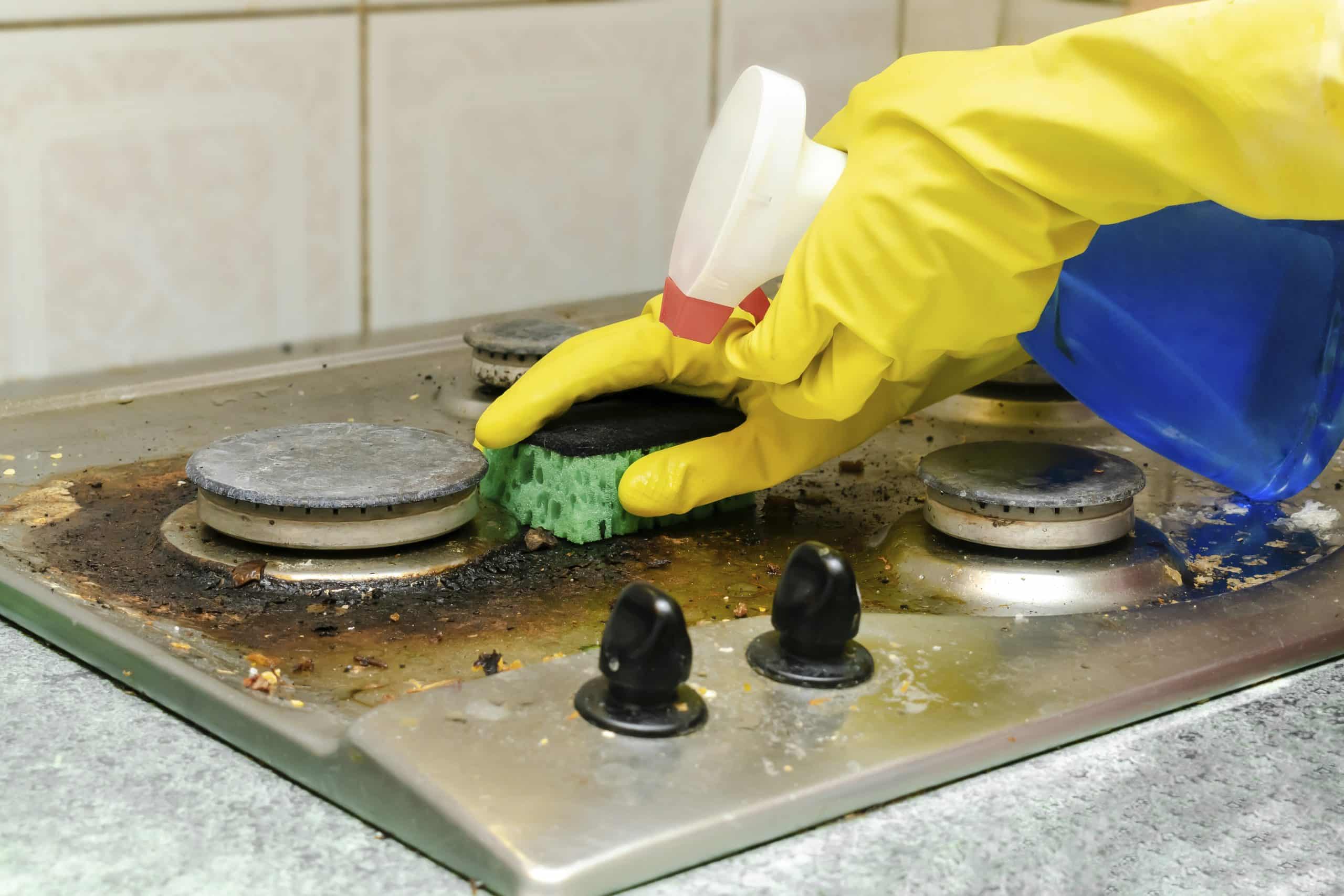 Kitchen Bacteria Found to Be Mostly Harmless | medtigo