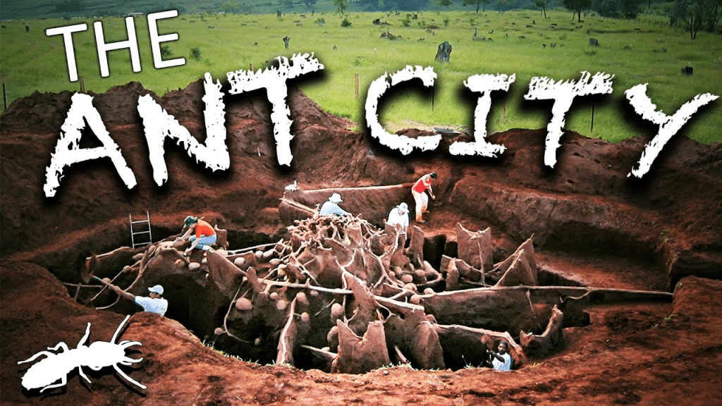 Discovery of a Lost Underground Ant City in Brazil | medtigo