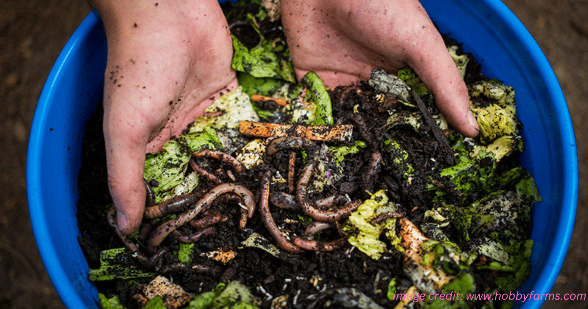 Researchers Discover Biodegradable Plastics with Composting Abilities ...