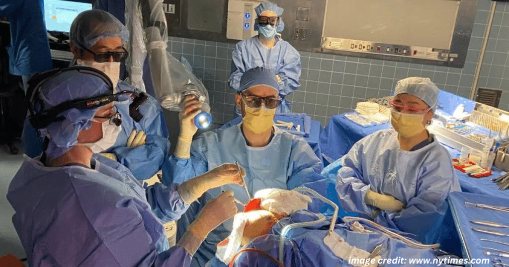 The Future of Neurosurgery: Unveiling the Revolutionary Acrylic ...