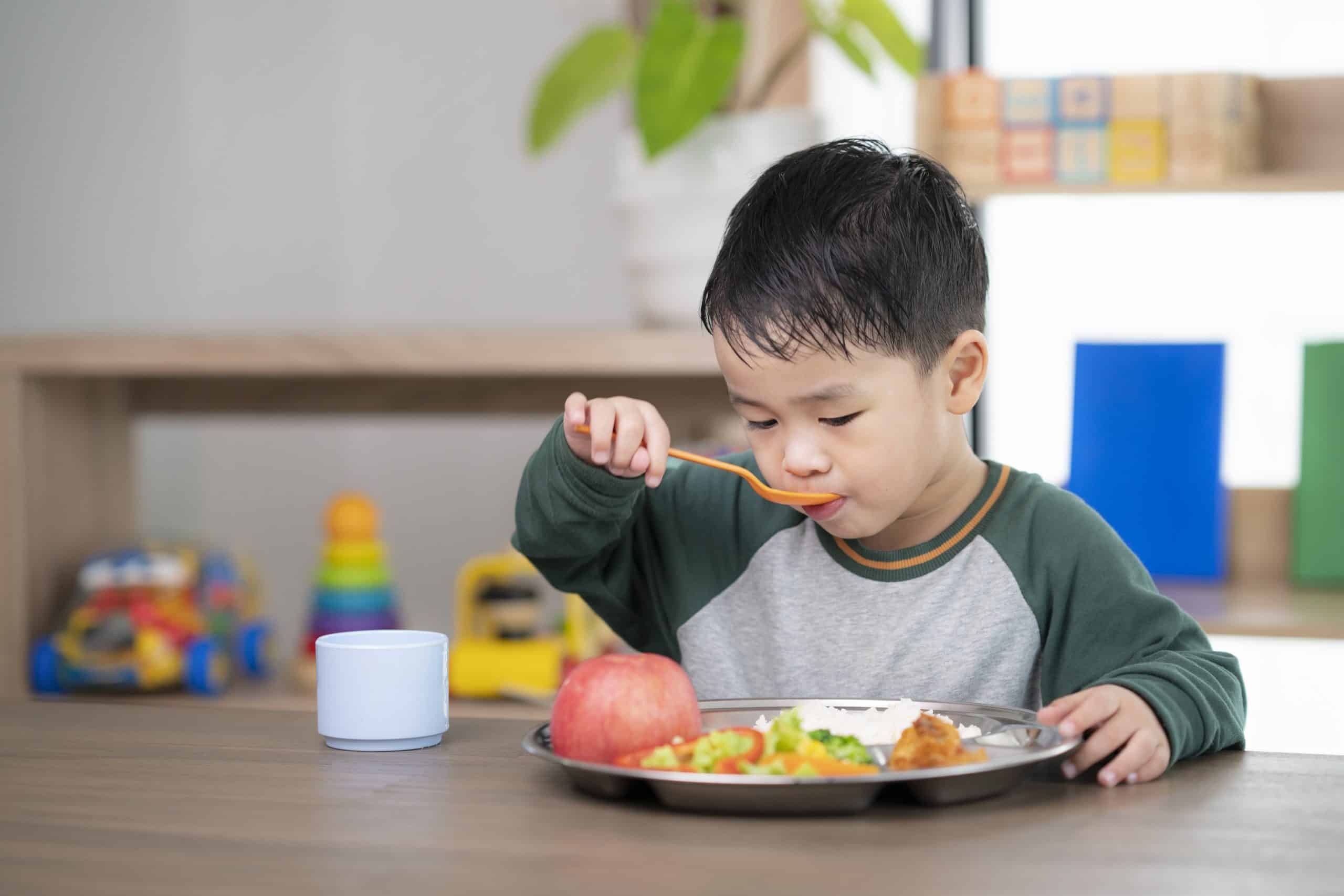 Elevating Kids' Nutritional Intake: The Power of Structured Meal Plans ...