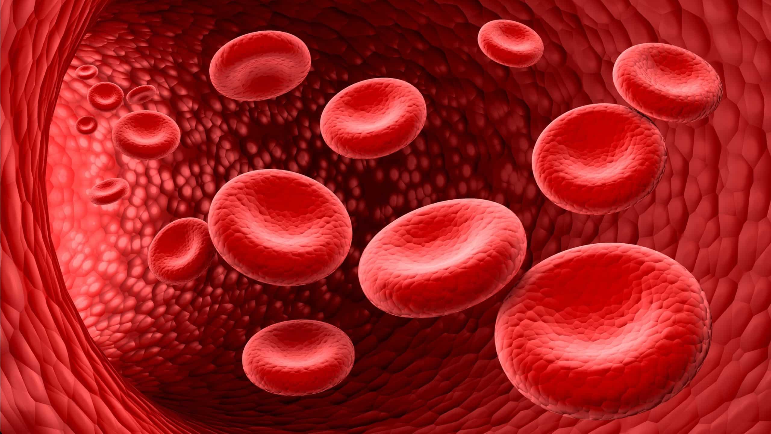 Concizumab: A Hemophilia Treatment Breakthrough
