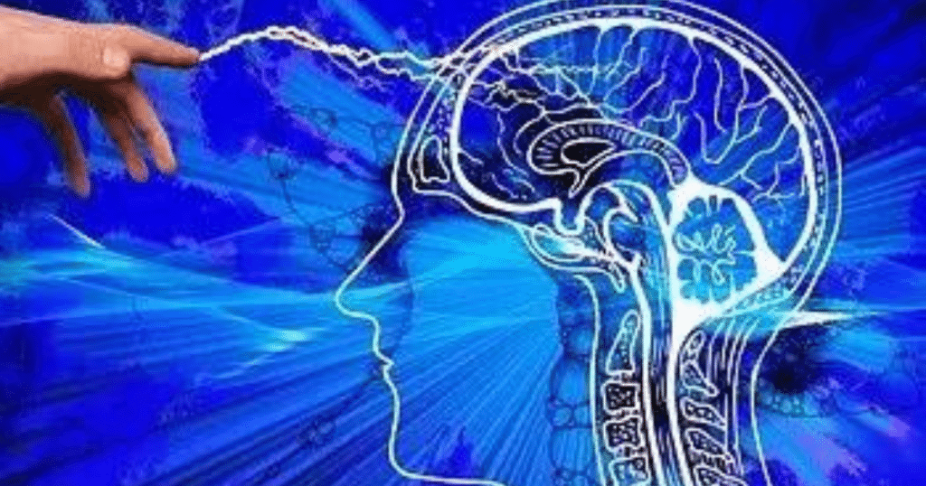 Unraveling the Brain's Role in True and False Memories