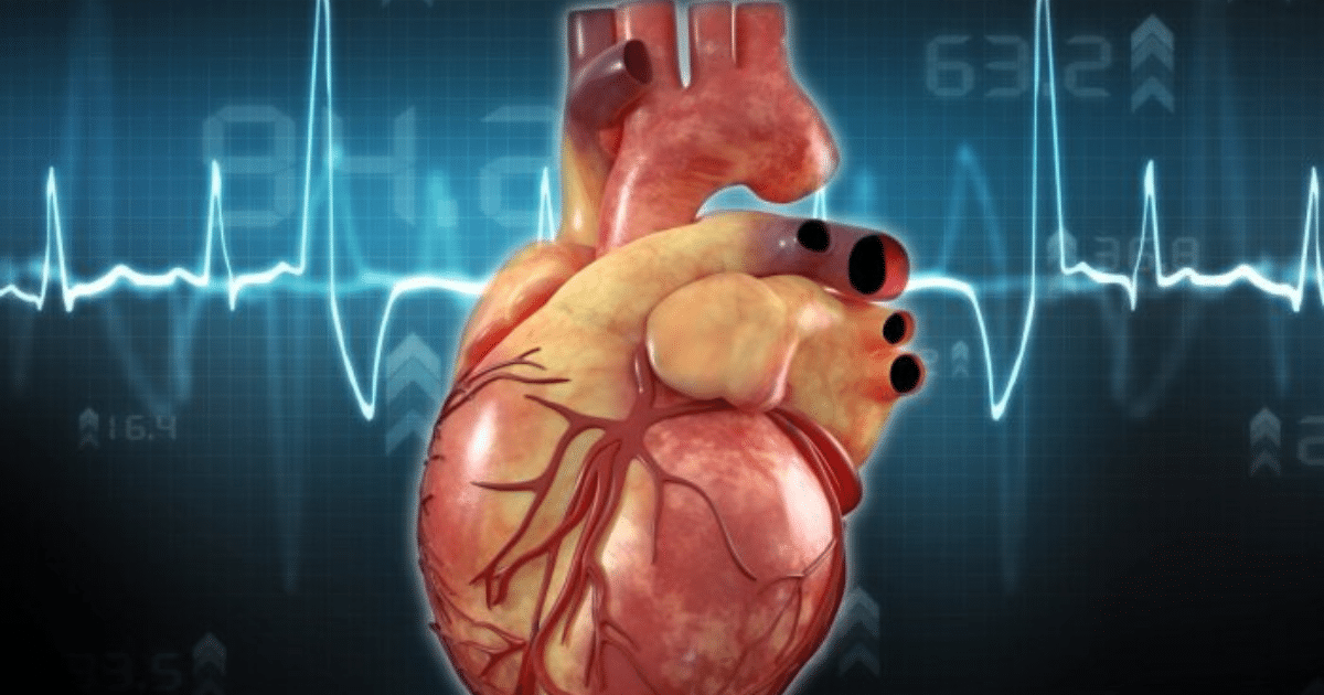 Heart Rate Variability Reveals Implicit Linguistic Knowledge