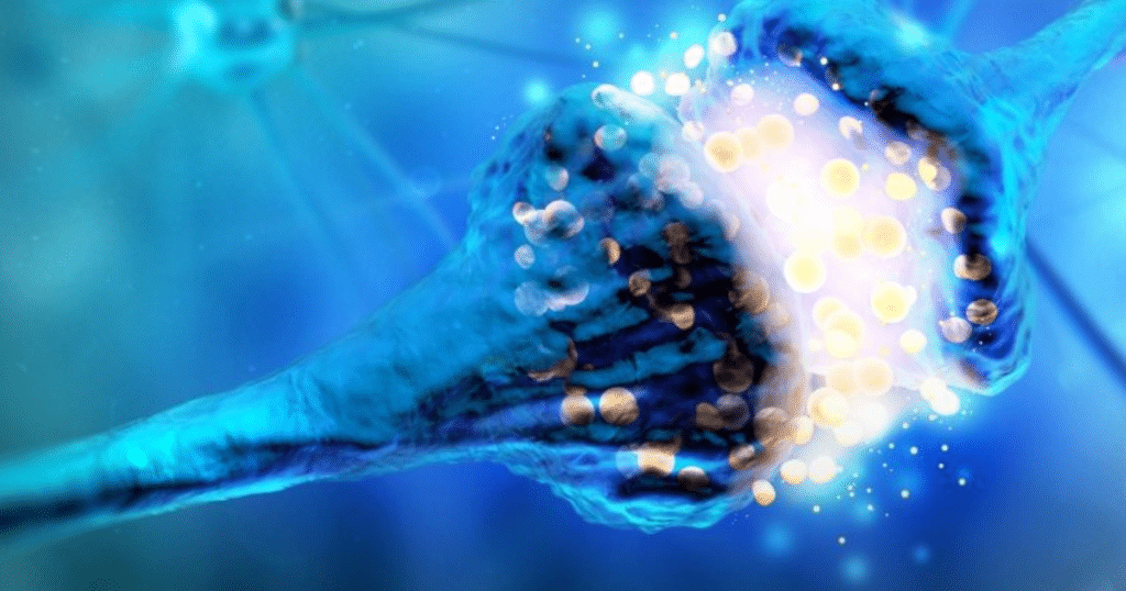 Engineered Protein Boosts Memory by Controlling Molecular Dance in the ...