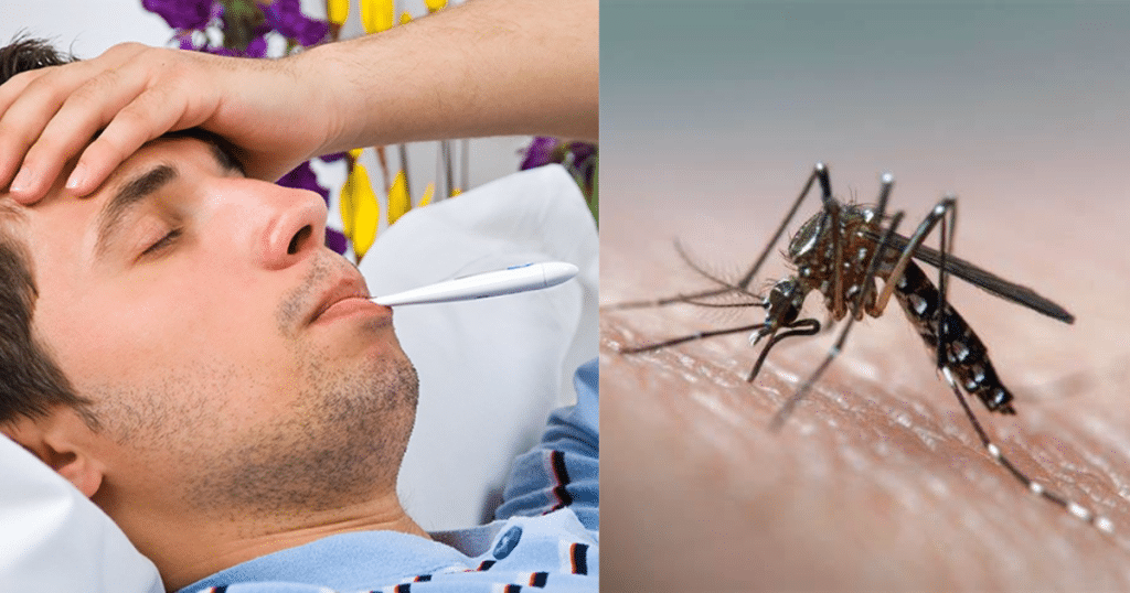 Rising Threat of Dengue Fever: Vaccines and Antivirals