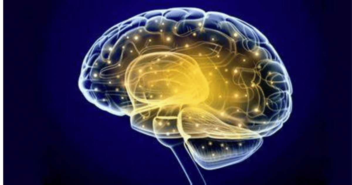 Human Brain: Swift Error Detection and Adaptation