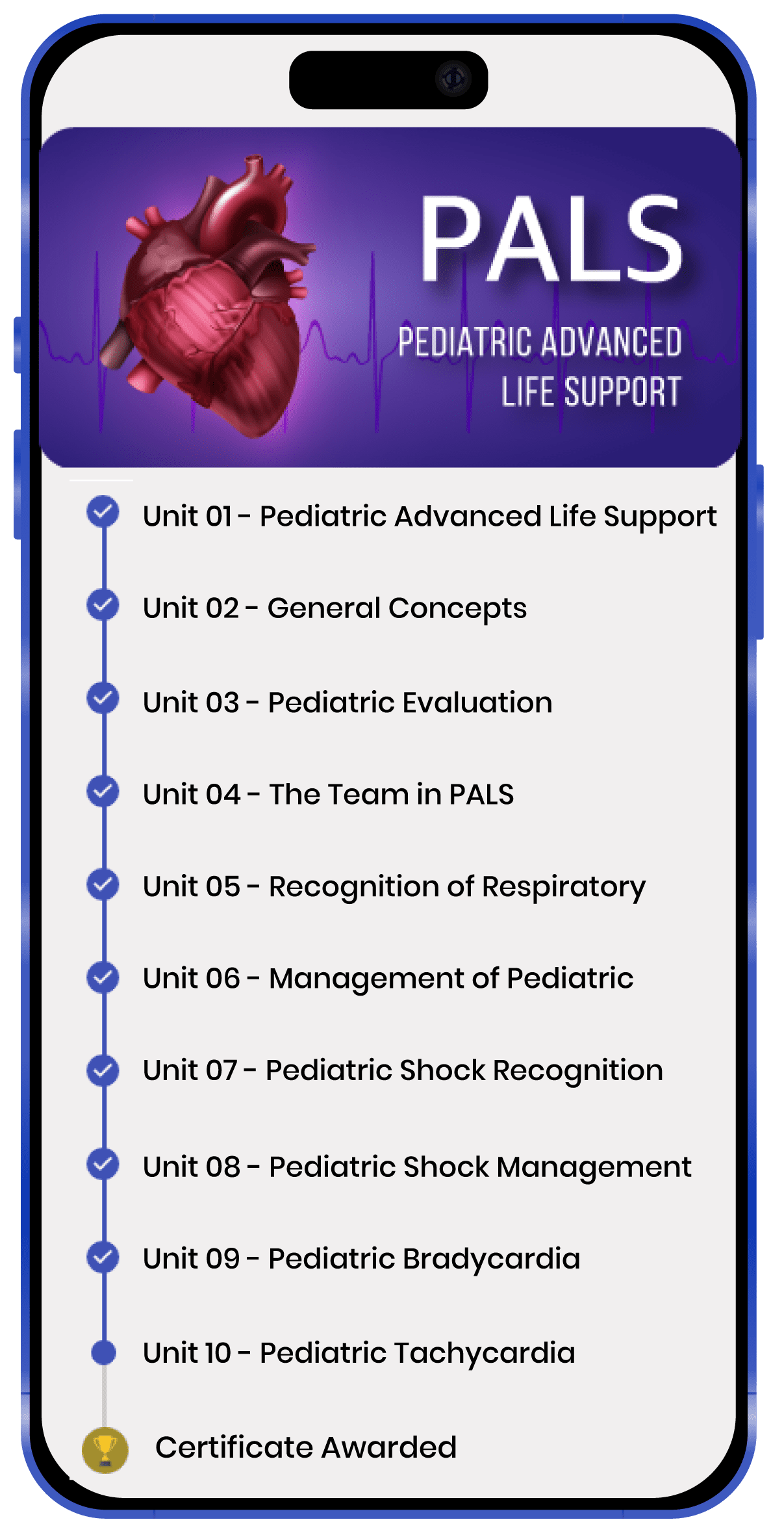 PALS Certification Online | Get your certification online today |Medtigo