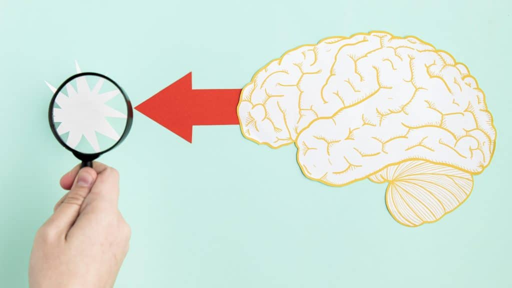 How the Brain Filters Out Distractions to Zero In on Rewards | medtigo