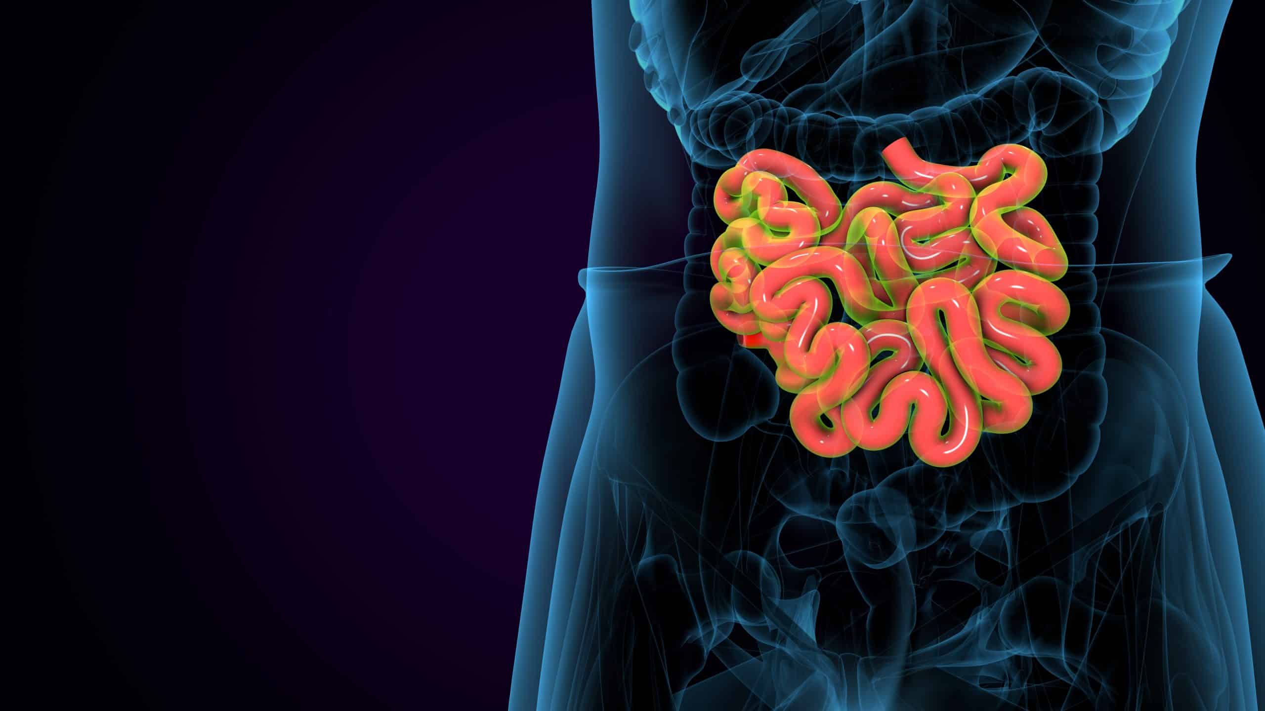 Study Links Body Types to Colorectal Cancer Risk | medtigo