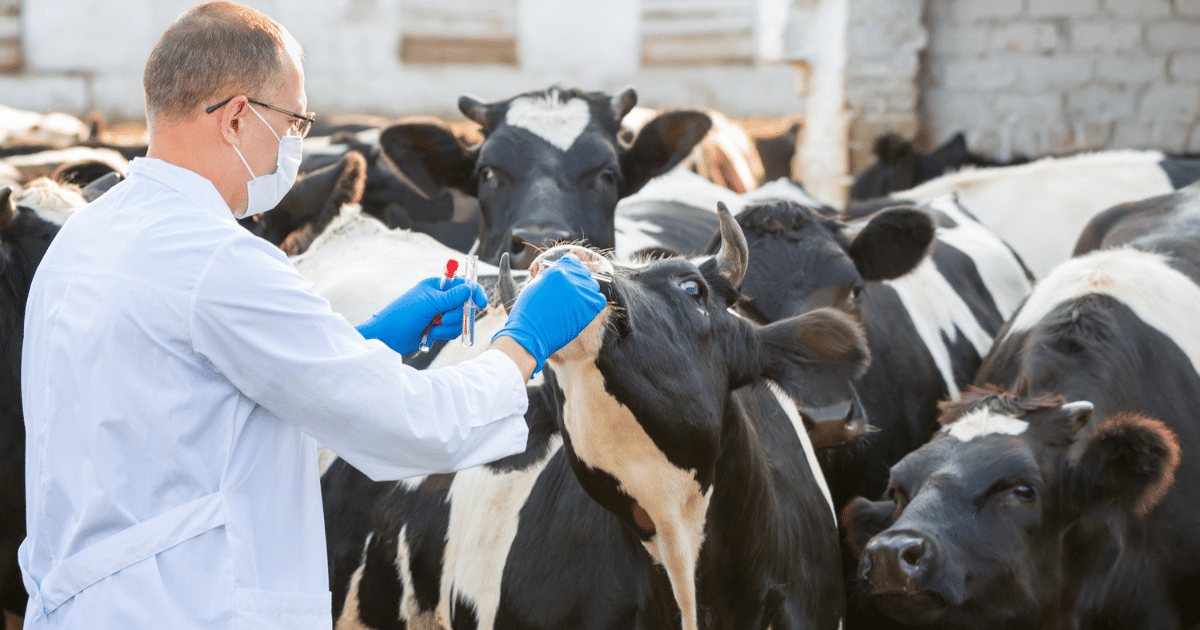 Global Spread of HPAI A(H5N1) Virus in Animals Raises Concerns | medtigo