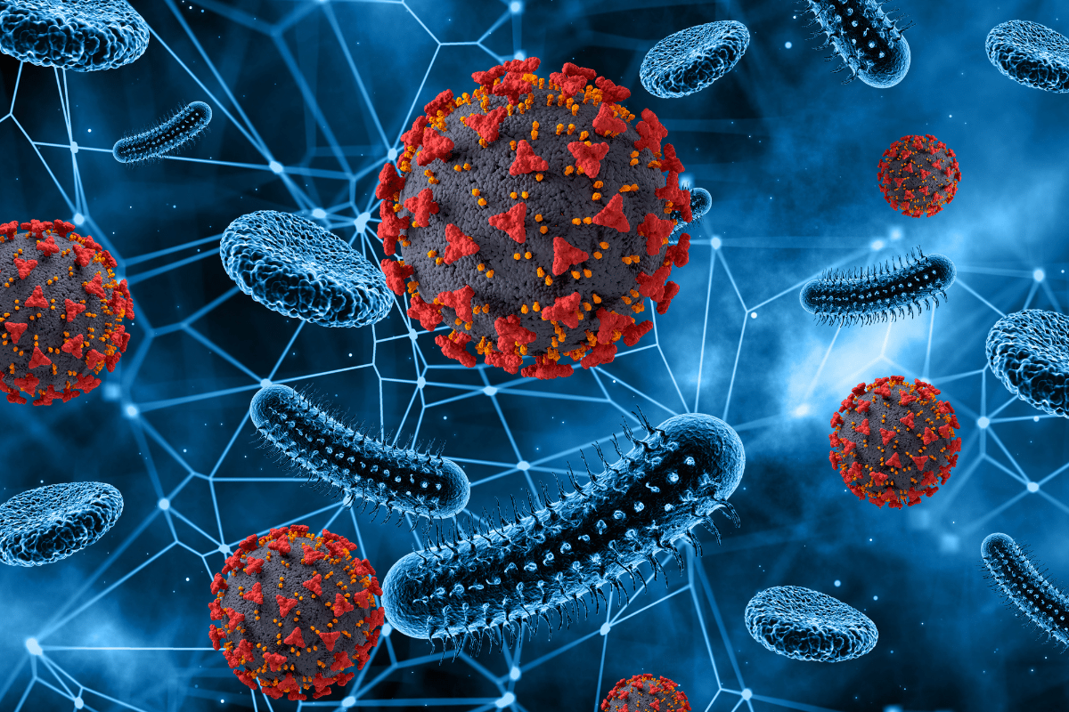 Could the Recent Mutation of the H5N1 Strain Lead to a Pandemic? | medtigo