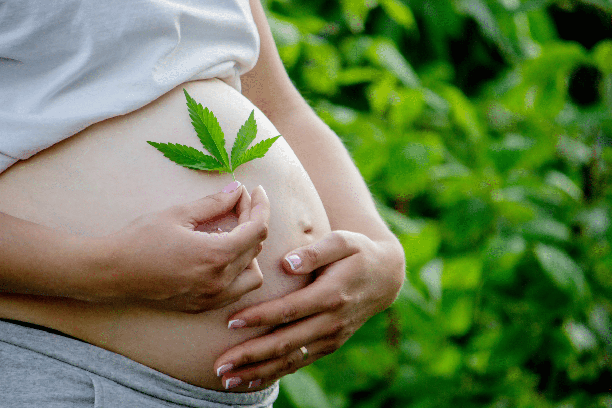 Marijuana Use During Pregnancy Linked to Obstetric Risks | medtigo