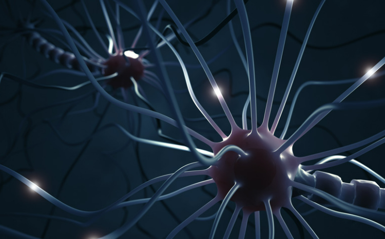 Dorsal Penile Nerve Block | medtigo