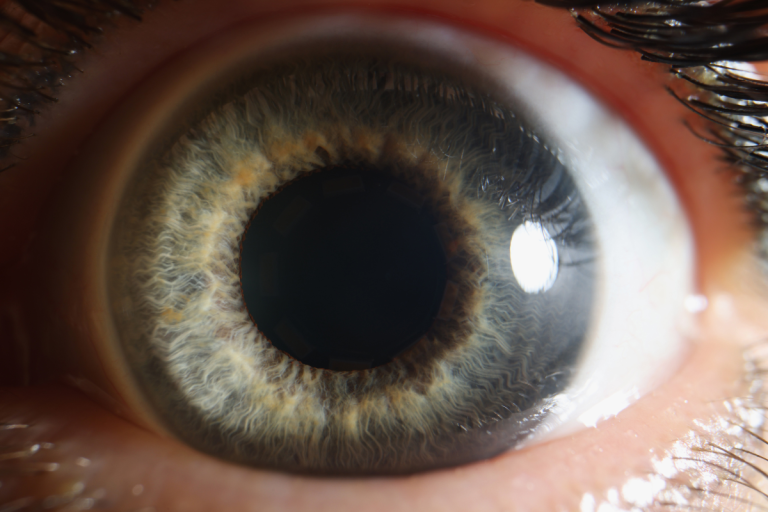 New Research Reveals How Breathing Shapes Pupil Dilation and Brain ...