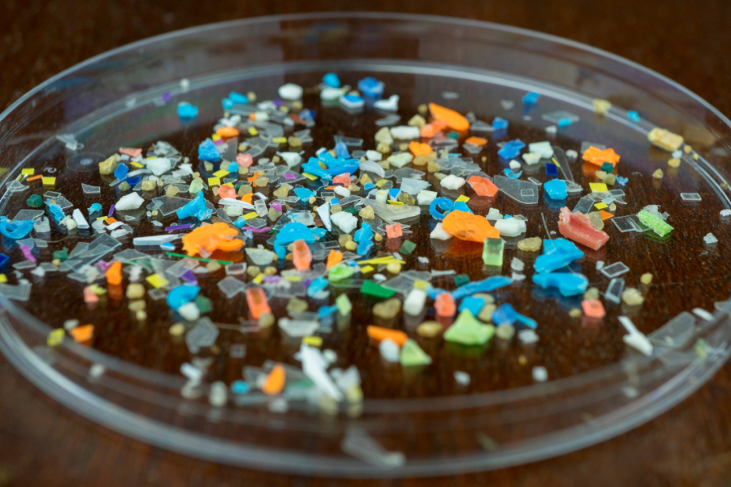 Microplastics in the Brain: Potential Links to Dementia and ...