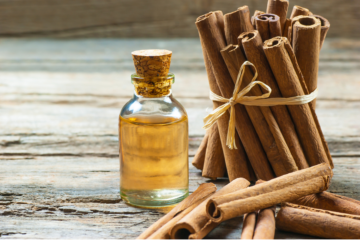 Cinnamon May Affect How Prescription Drugs Are Metabolized | medtigo