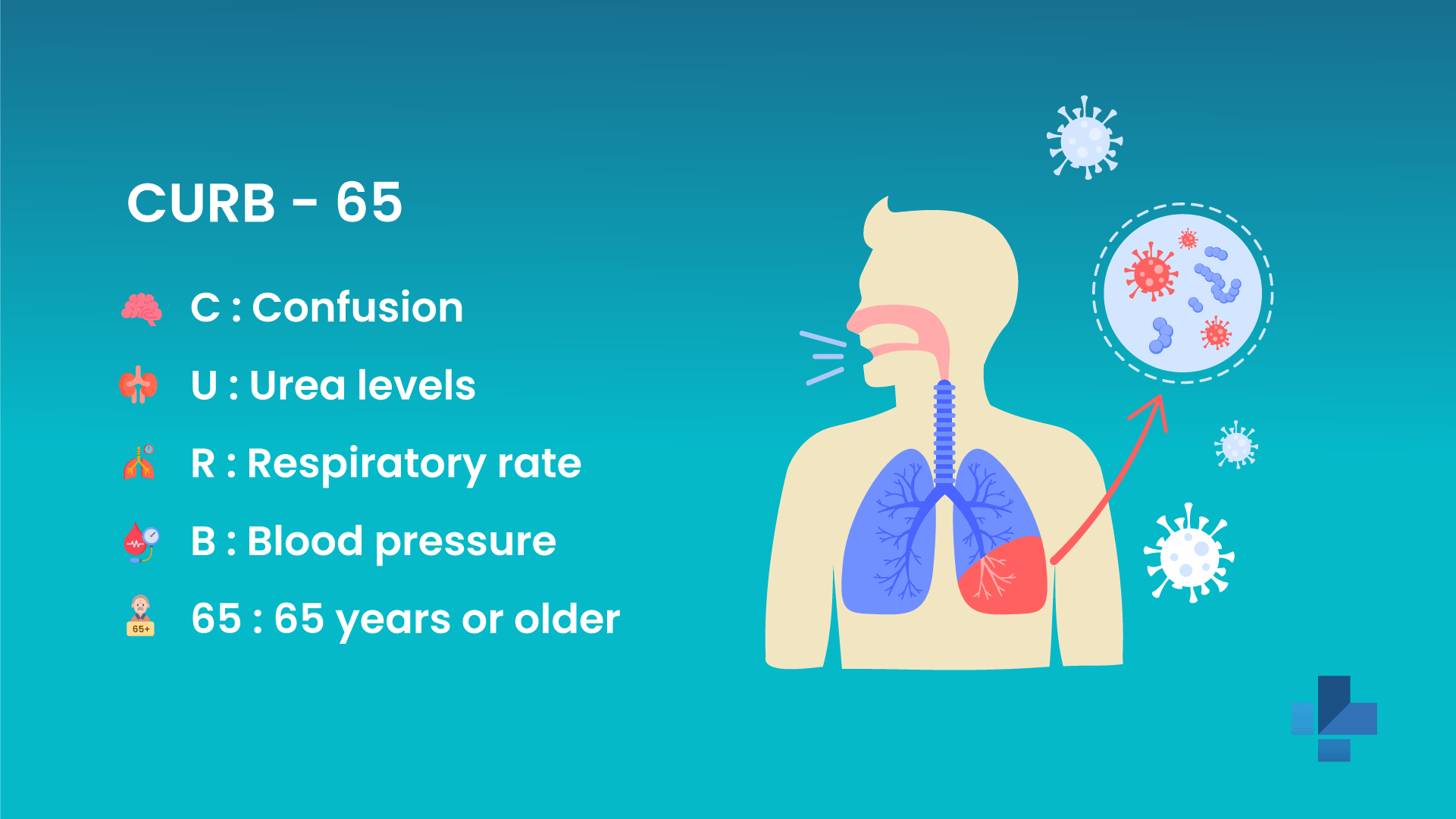 What Is CURB in Pneumonia? Understanding the CURB-65 Score | medtigo