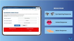 How to Calculate the Glasgow Coma Scale (GCS) – With Free Online Tool ...