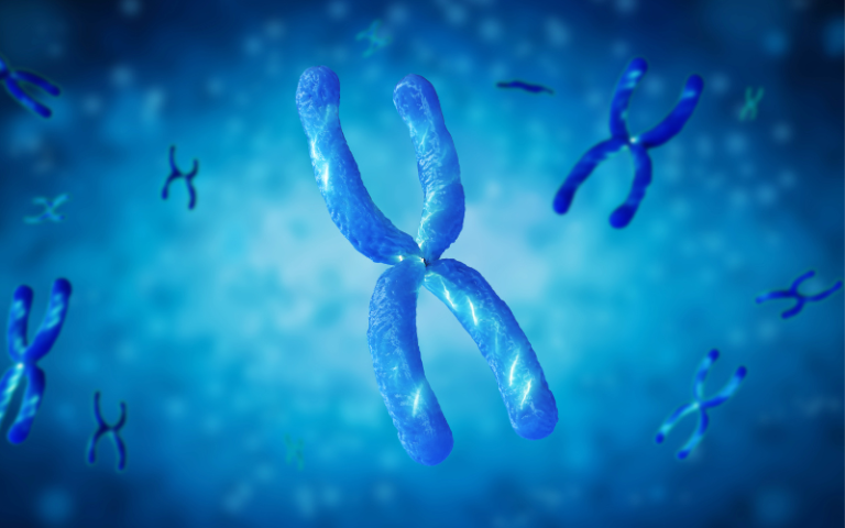 Extrachromosomal DNA Shapes Intratumor Genetic and Spatial ...